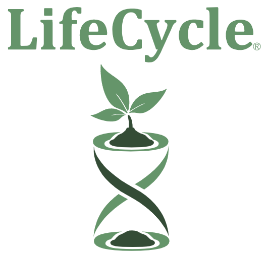 Endowment Policy – LifeCycle